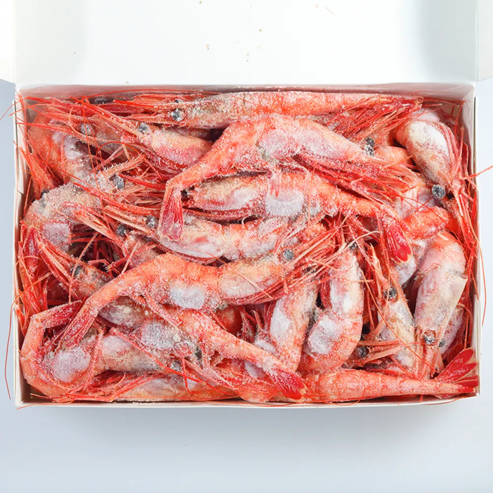 Frozen Amaebi Whole 3L Size (1kg) – Shiki Oishii