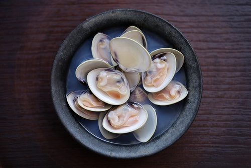 Japanese Hamaguri Clams (Hard Shell Clams) - Frozen (500g) – Shiki Oishii