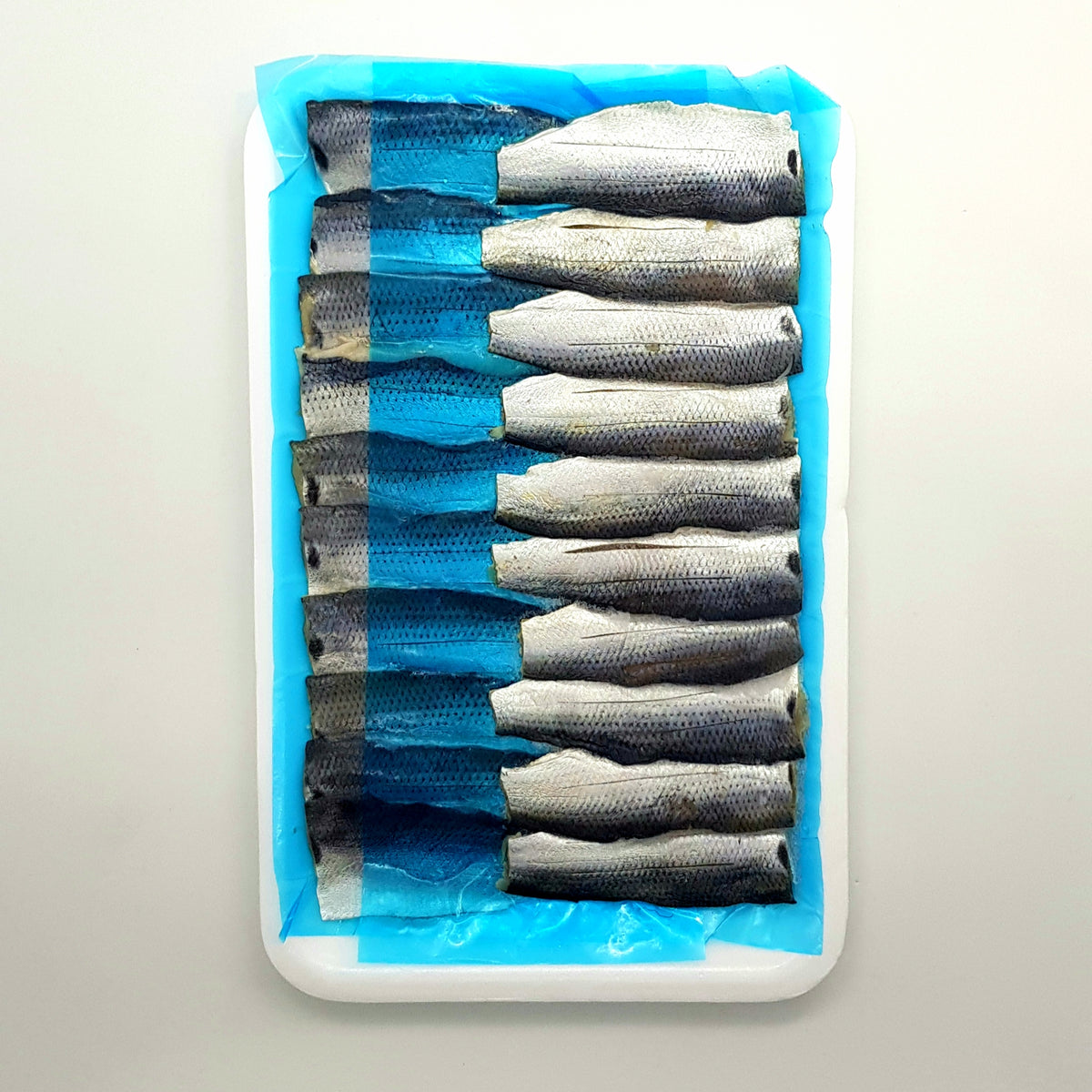 Sashimi Grade Kohada Fillet (Gizzard Shad) - Frozen 100g – Shiki Oishii