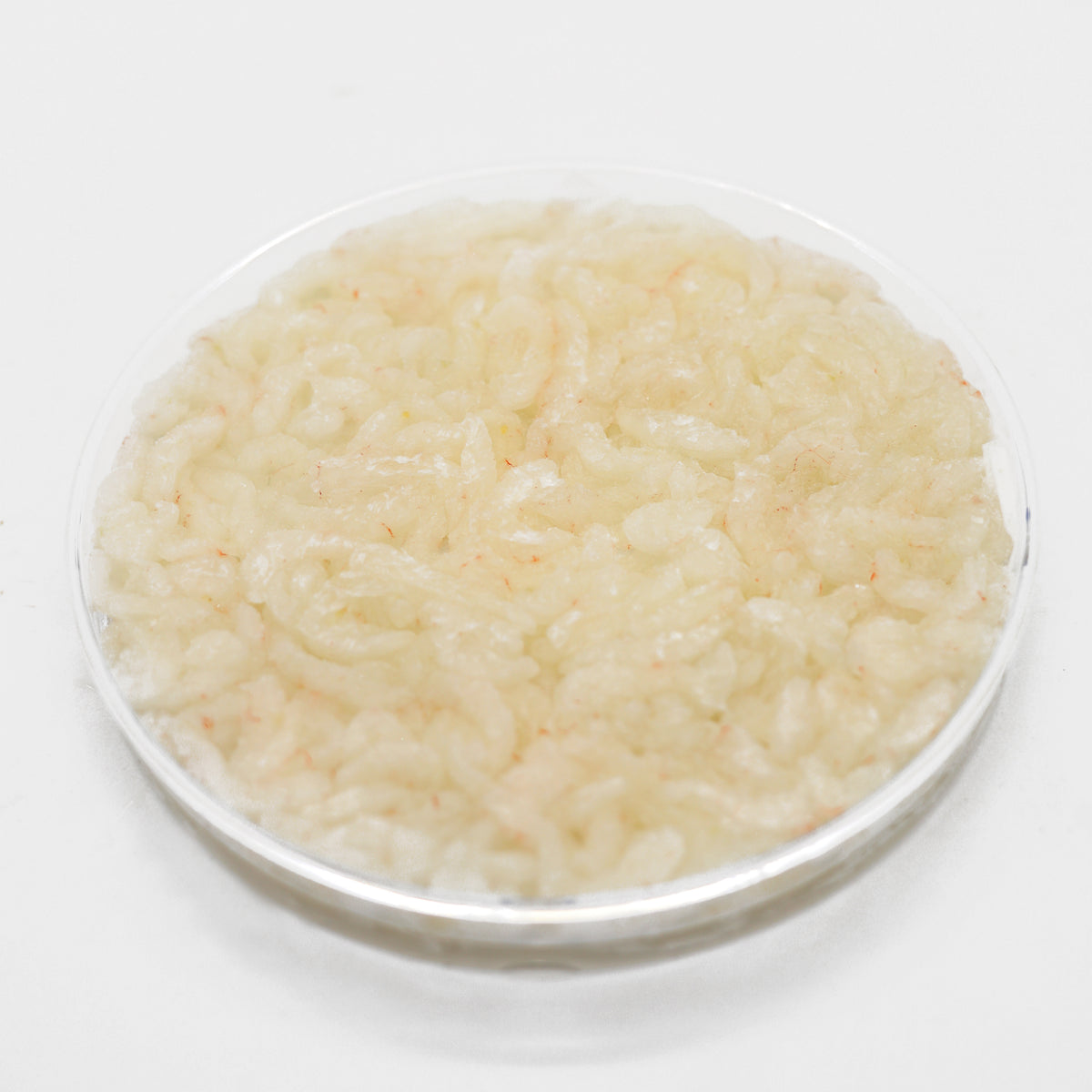 SHIKI SG: Frozen Sashimi Grade Baby White Shrimp (Shiro Ebi) – Shiki Oishii